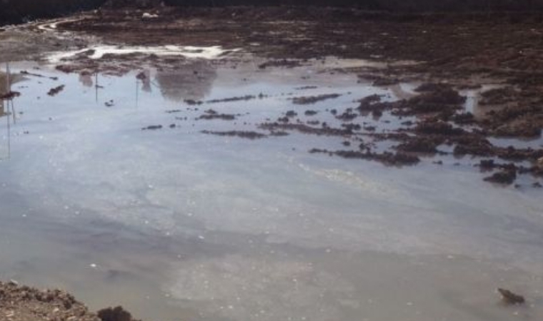 Ünlü Yer Bilimci Naci Görür, Malatya'yı eleştirdi: Temel değil havuz Ünlü Yer Bilimci Naci Görür, Malatya'yı eleştirdi: Temel değil havuz